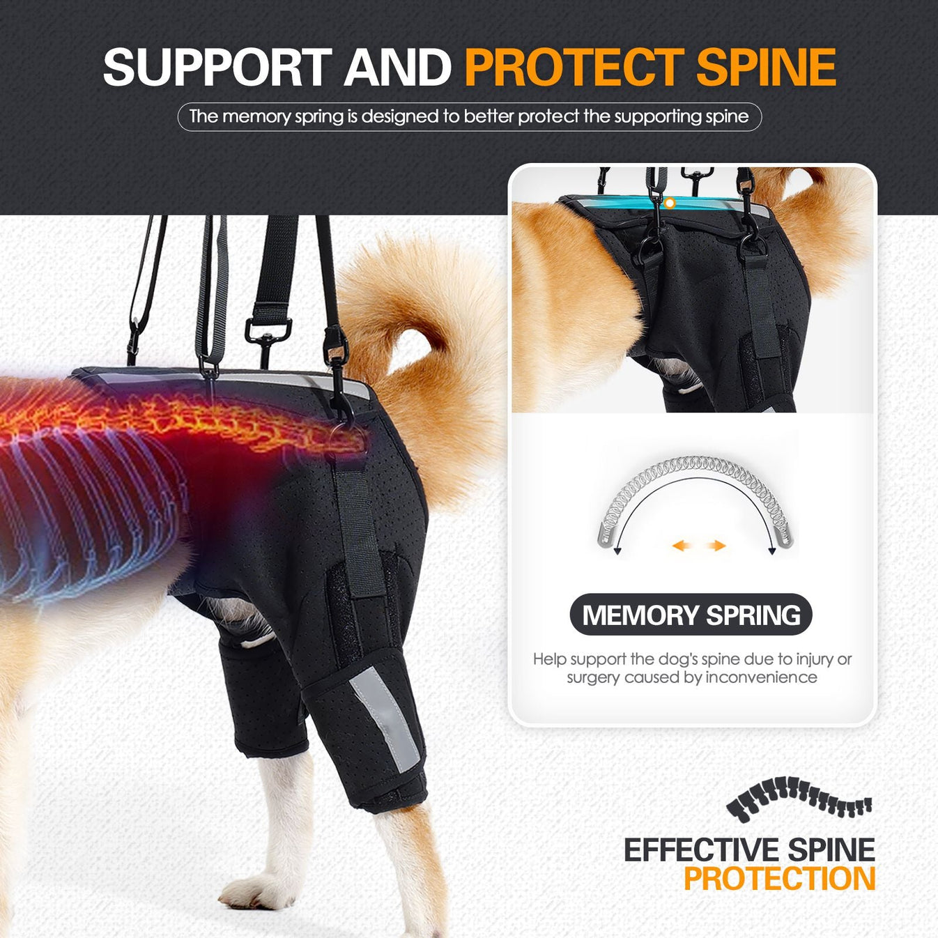 Dog Lift Harness for Back Legs, Rear Support & Mobility Aid – Pawsbetter